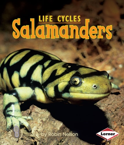 Life Cycles: Salamanders – Nova Scotia School Book Bureau